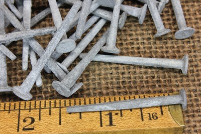 Nails - Plaster Lath