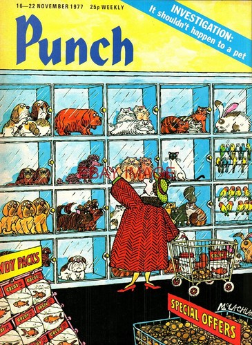 16-22 Nov 1977 PUNCH Magazine Cover Print Anniversary Gift 'Pet Shop ...