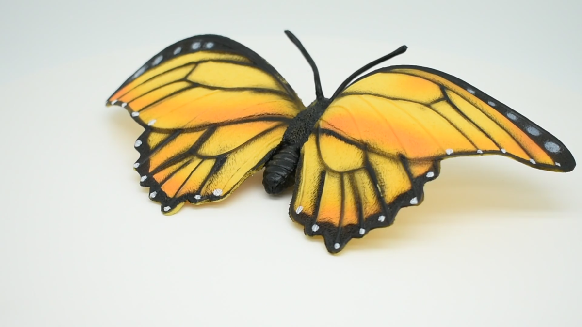 Yellow Monarch Butterfly Monarch Nectar Plants For Utah