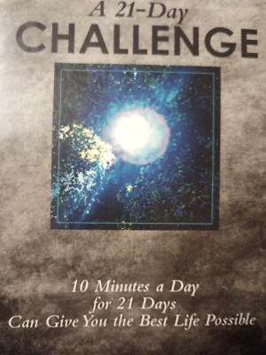 A 21-Day Challenge - One Chapter Each Day of John Ryrie Bible 2012 PB ...