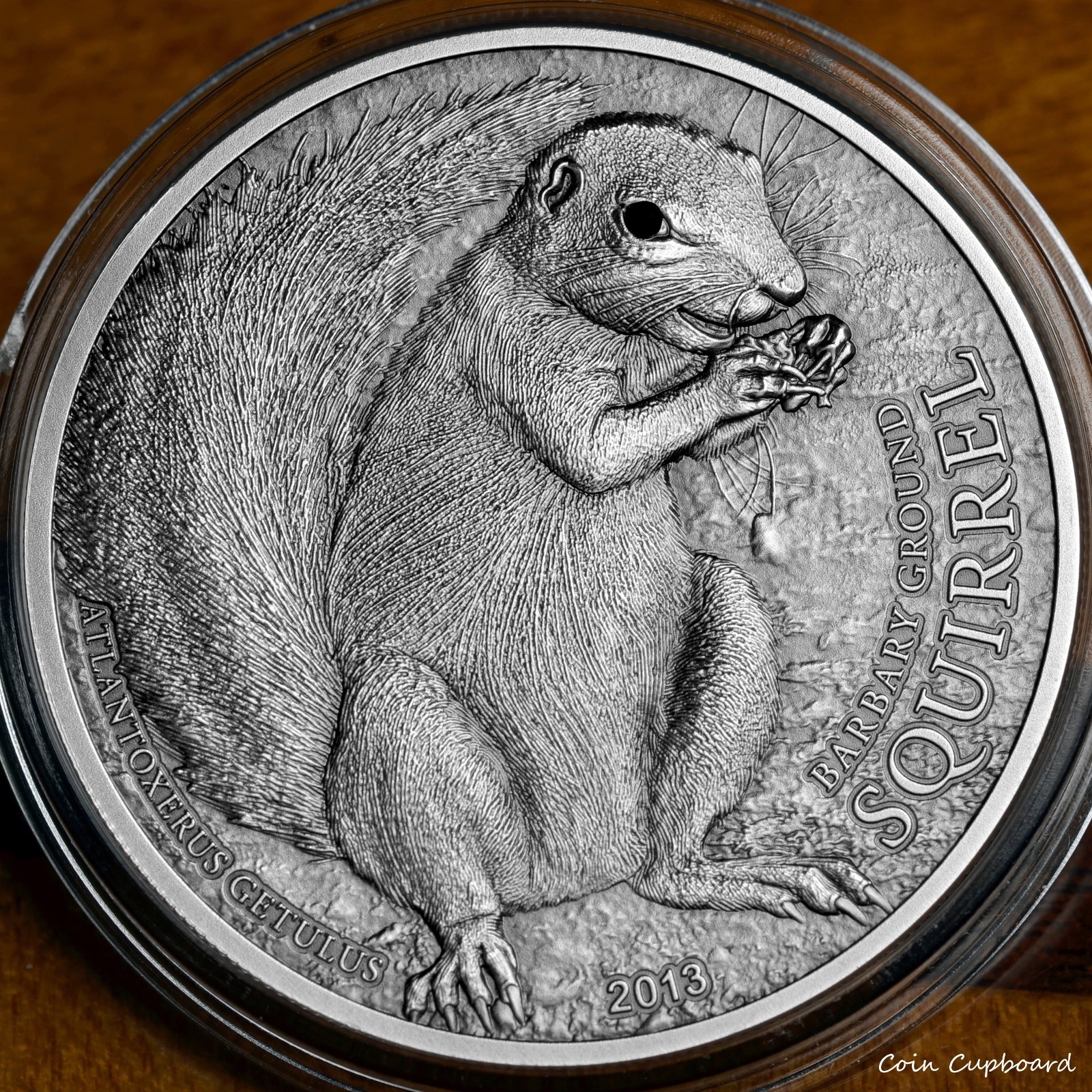 2013 Palau - $5 - Barbary Ground Squirrel 1 oz silver coin with crystal ...