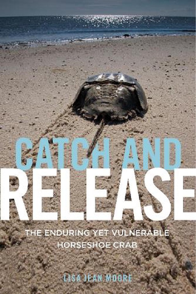 Catch and Release: The Enduring Yet Vulnerable Horseshoe Crab by Lisa ...
