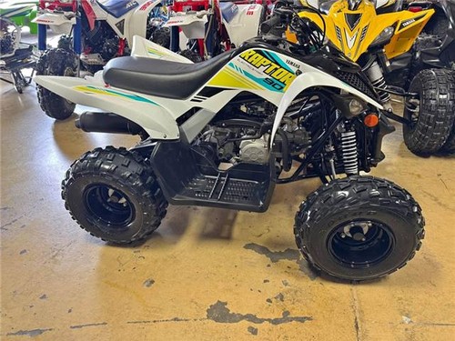 2023 Yamaha Raptor 90 | eBay