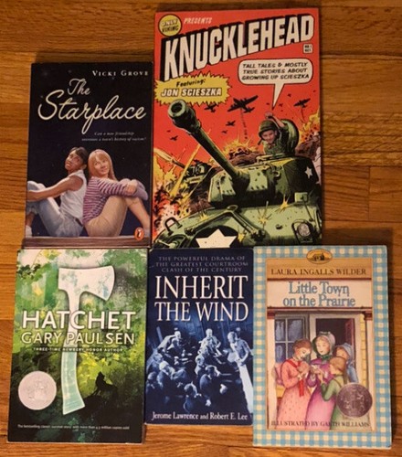 YOUNG ADULT CHAPTER BOOKS Newbery Hatchet/Inherit The Wind/Starplace ...