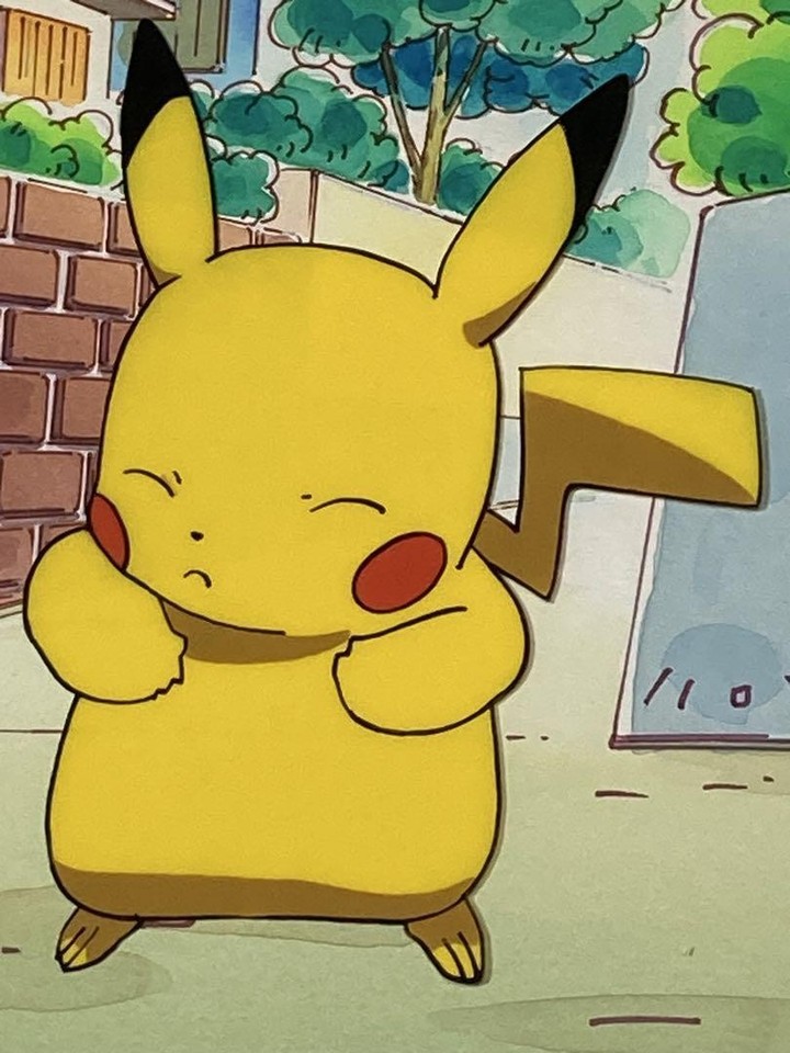 Pokemon Cel Artwork with Background 26.5x22cm Used | eBay