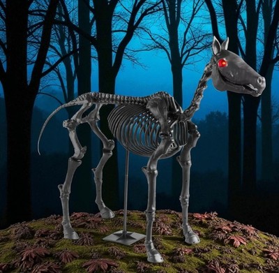 5.5 Ft LED Skeleton Pony Horse –Black Halloween Prop by Home Accents ...
