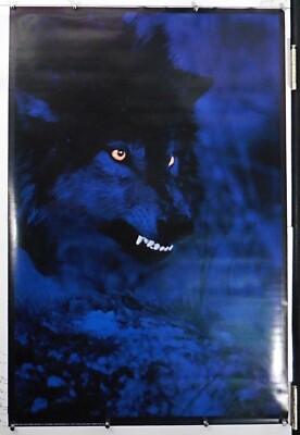 WOLF--Electric wolf poster (Glowing eyes) 24.25" X 36.50" NOS (b569) | eBay