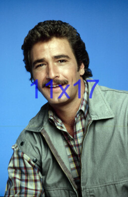 #3180,LEE HORSLEY,matt houston,paradise,11X17 POSTER SIZE PHOTO | eBay