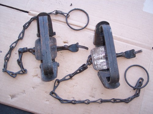 2 VTG Antique Triumph Traps Co Triple Clutch No 3-X Kangaroo Newhouse ...