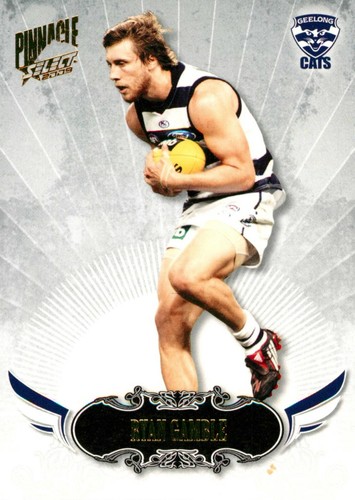 2009 GEELONG CATS AFL Premiers Card RYAN GAMBLE | eBay