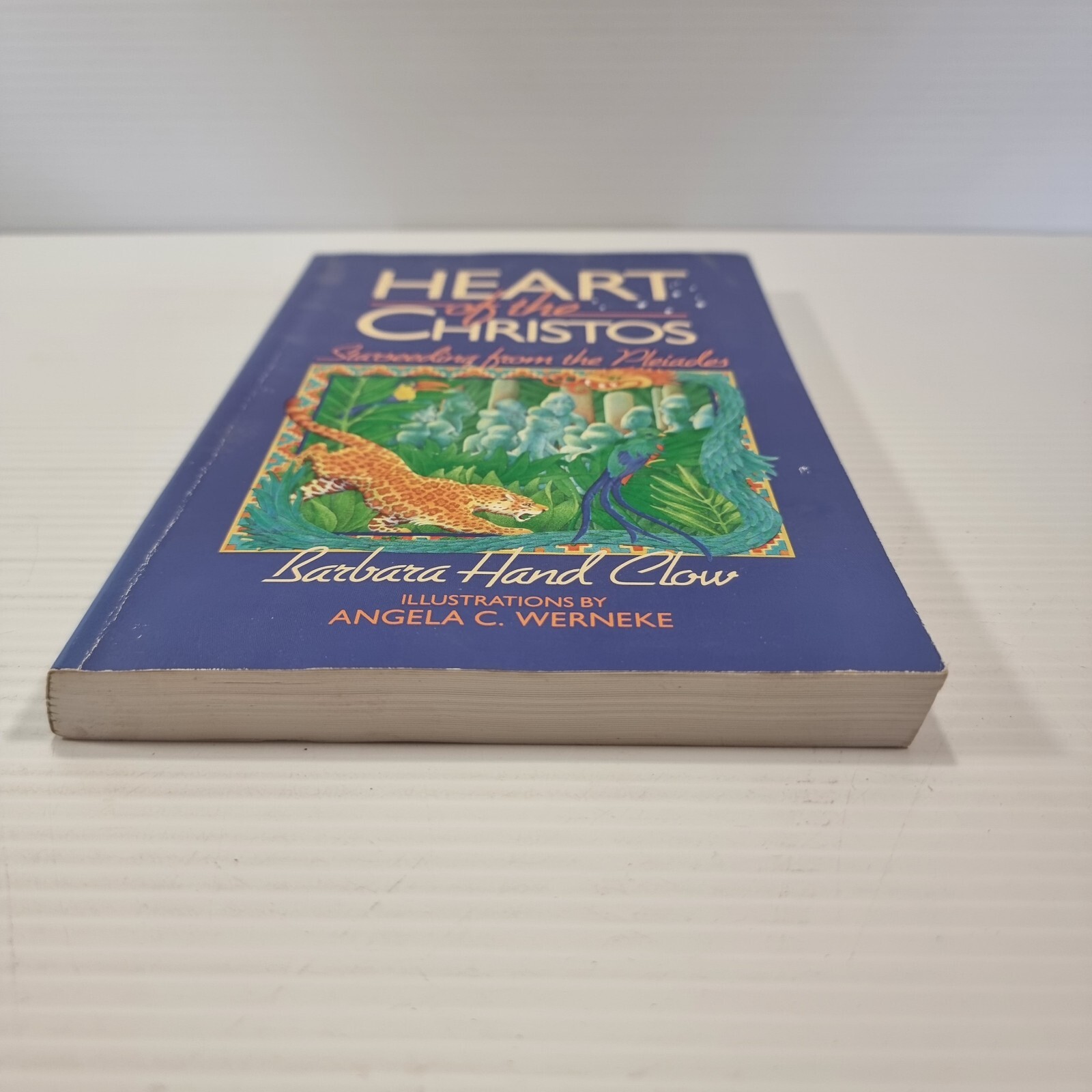 Heart of the Christos by Barbara Hand Clow 1989 Bear & Co Paperback | eBay
