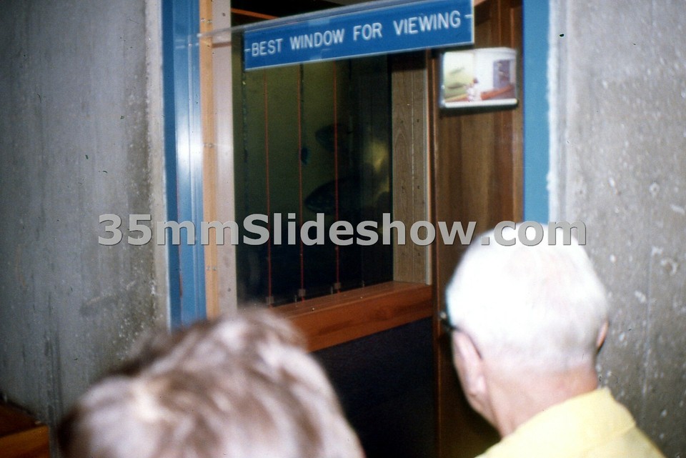 T024_076 35mm Slide 1989 OR Portland Transportation Max Light Rail set ...