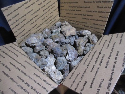 DINOSAUR COPROLITE - WYOMING GEM GRADE - 35+ LB. BULK ROUGH MIX - VALUE ...
