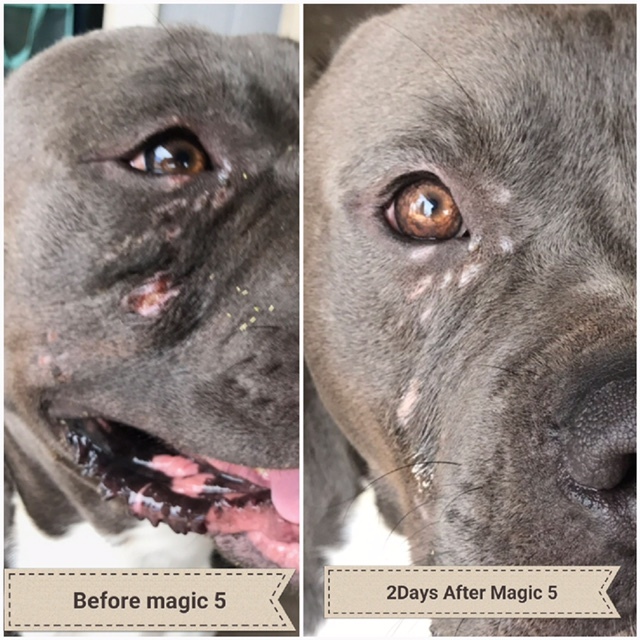 MAGIC V Wound Healing Cream 8oz. | eBay