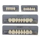 VITA MFT Denture Teeth A1 (Set of 28) Multi function denture teeth for ...