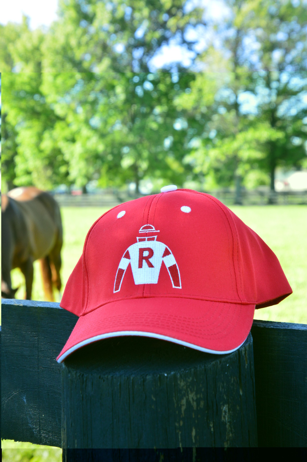 Ramsey Farm Ball Cap, Horse Racing Memorabilia, Kitten's Joy Hat, Silks ...