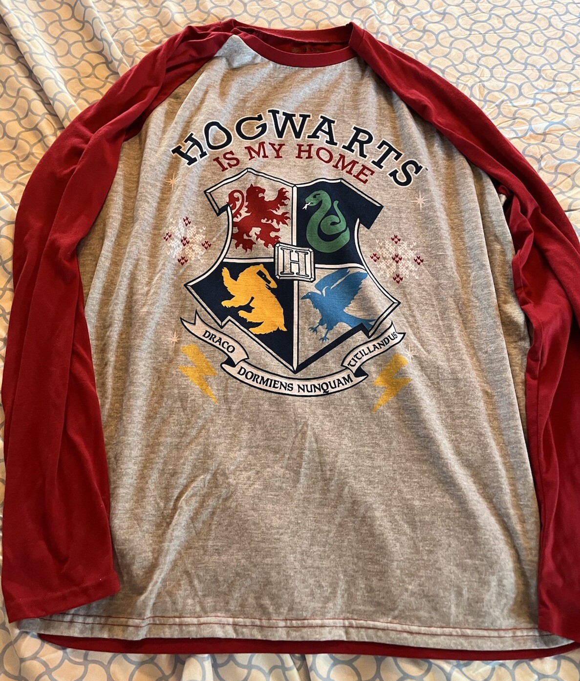 Wizarding World Harry Potter Men's Size Large Gray Ra… - Gem