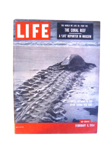 Life - February 8, 1954 Back Issue for sale online | eBay