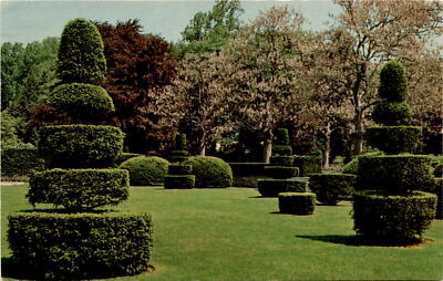 Vintage Topiary Garden Postcard: Beauty & Size Showcased | eBay