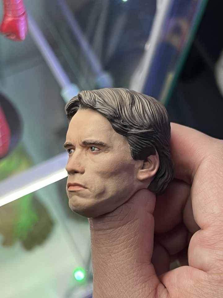 1/6 CUSTOM Tech Noir Terminator T-800 Head Arnold Hot Toys 1984 OOAK | eBay