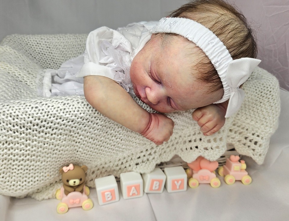 Reborn Realborn Doll Skya By Daisy's Little Dreams Janine Barnes | eBay UK