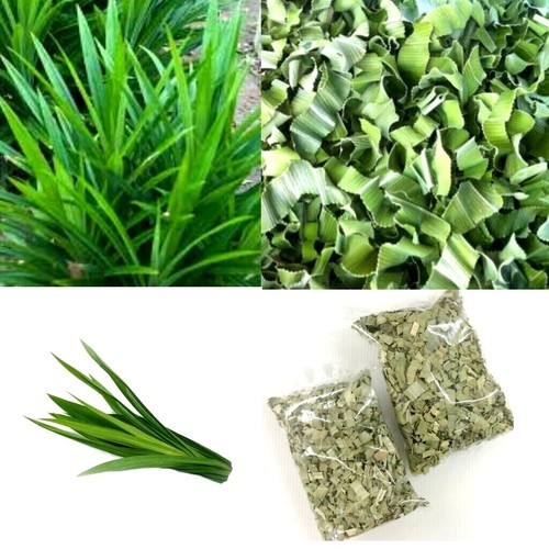 Rampe Organic Sun Dried Pandan Leaves Spice Natural Ceylon Pure ...