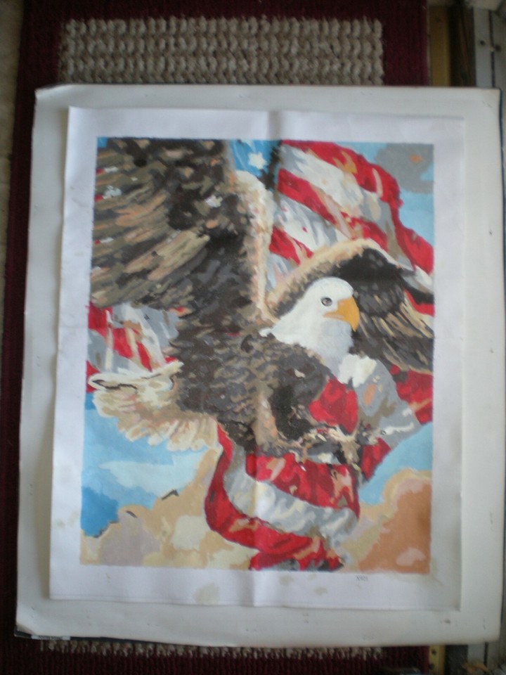 Eagle Hand Painted By Number Oil Painting on Canvas Completed Unframed ...