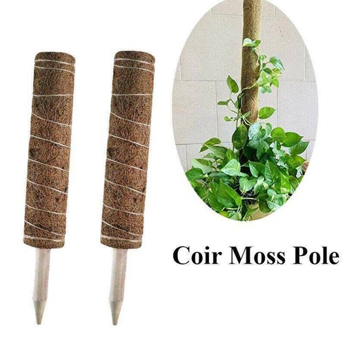 12"Coir Moss Totem Pole Coir Moss Stick for Plant Support Extension ...