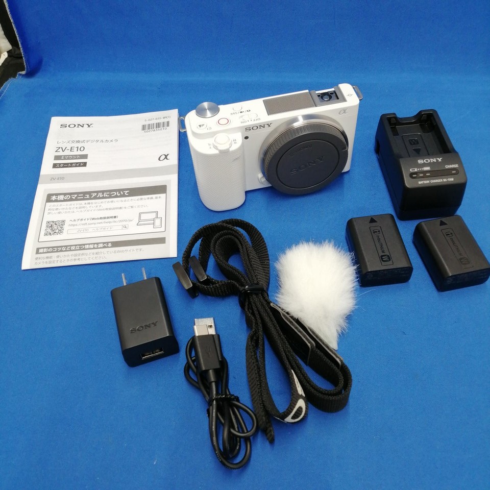 Sony ZV-E10 Mirrorless Camera 24MP E-mount SDXC Memory Stick PRO-HG | eBay