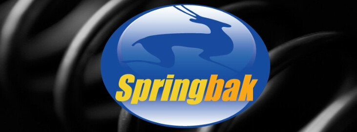 Springbak Springsoles | eBay Stores