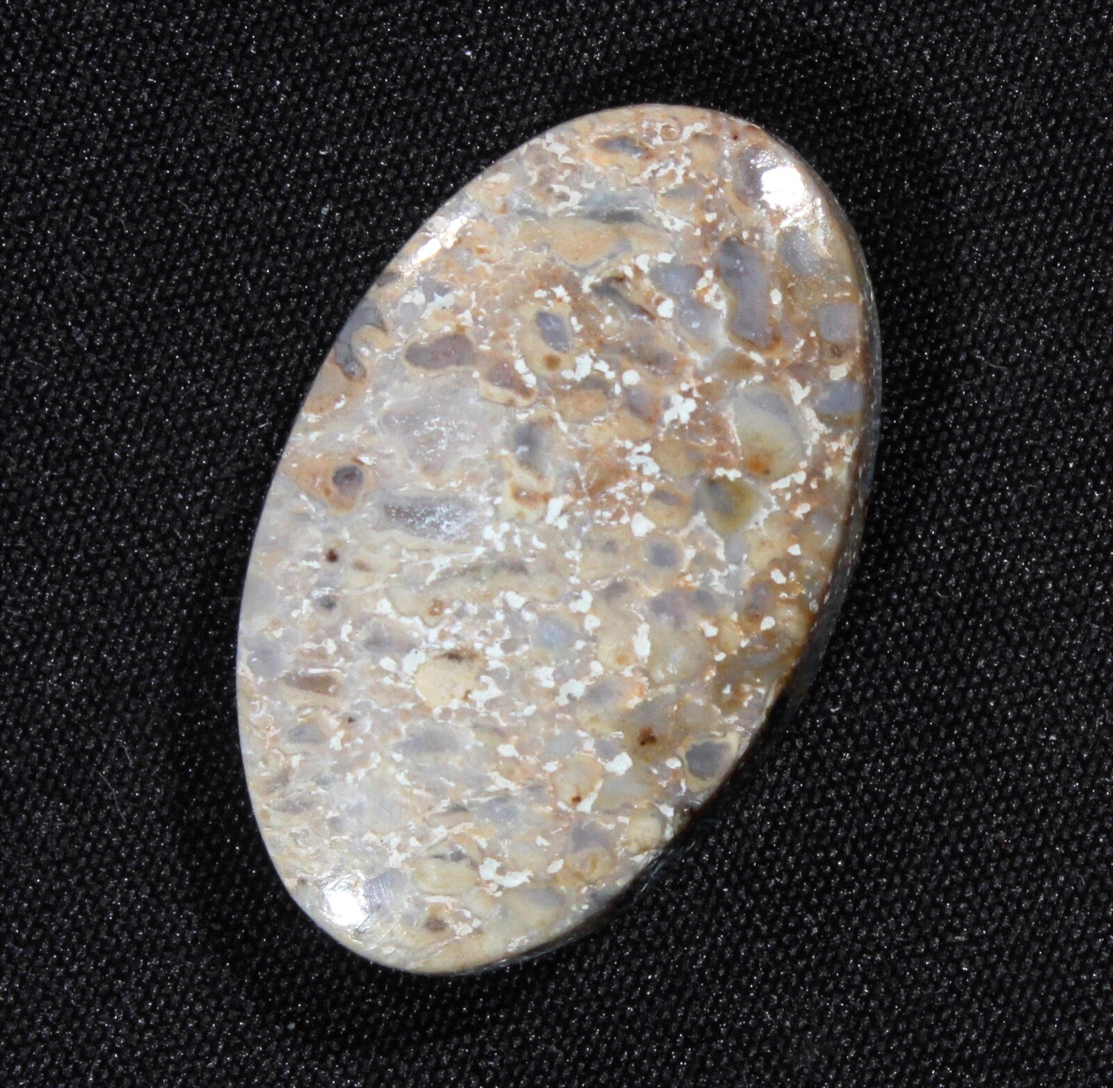 12.9 ct Petrified Dinosaur Bone Cab Cabochon from Utah old collection ...