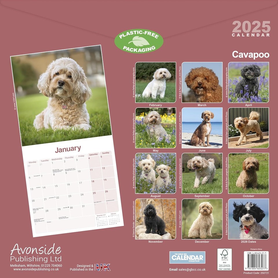 CAVAPOO - 2025 CALENDAR - BRAND NEW - 603277 | eBay