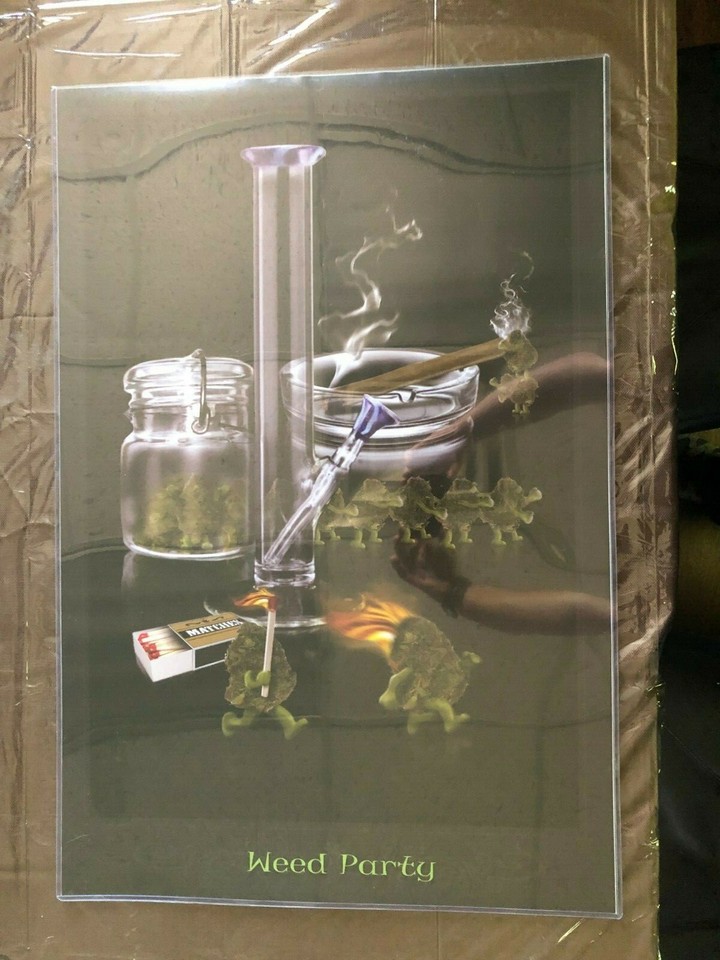 WEED PARTY Poster 24" x 36" Dispensary, Head Shop, etc L@@K | eBay