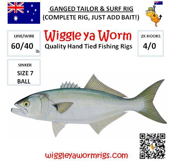 5x Tailor & Surf rigs, 2x 4/0 ganged hooks & sinker! Compete and Ready ...