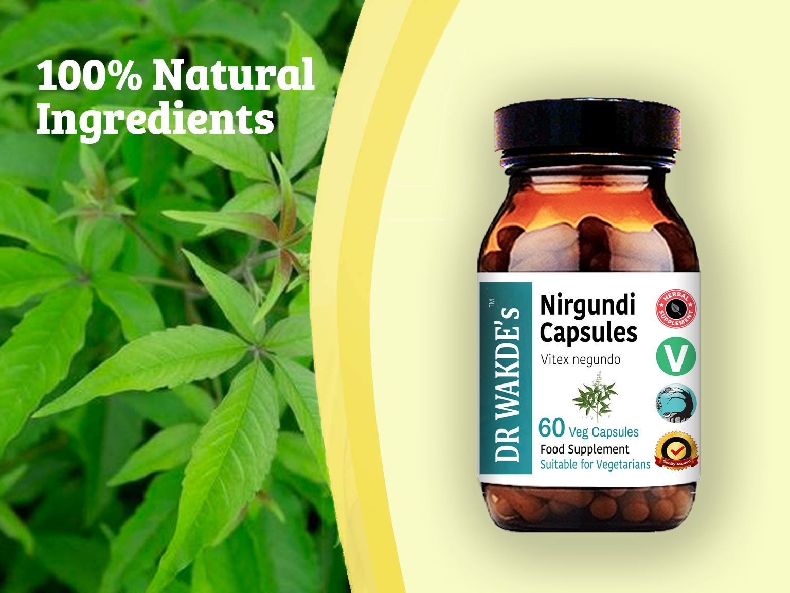 DR WAKDE'S Nirgundi Capsules (Vitex negundo) | 60 Veg Caps | Ayurvedic ...