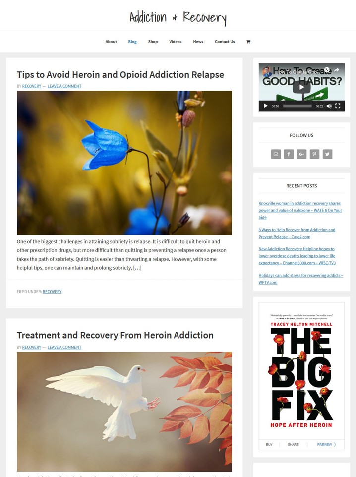 * RECOVERY & ADDICTION * store blog website business for sale with AUTO ...
