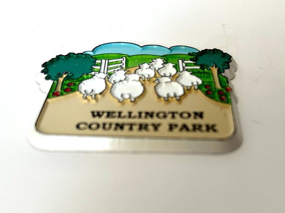 Rare! Green and Blue Sheep Wellington Country Park English Fridge ...