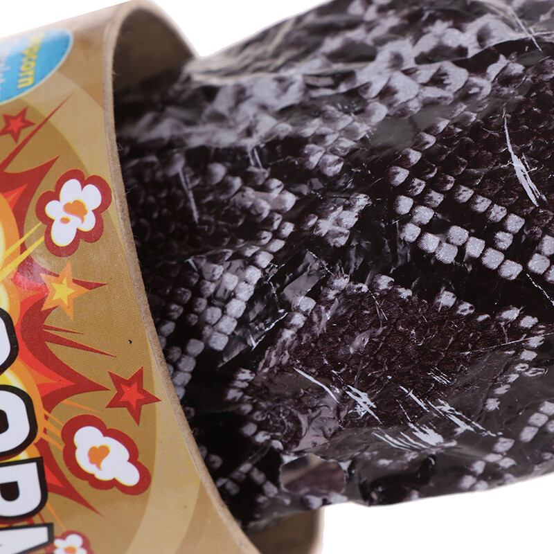 Funny Potato Chip Can Jump Spring Snake Toy Gift Jokes Prank Trick Fun ...