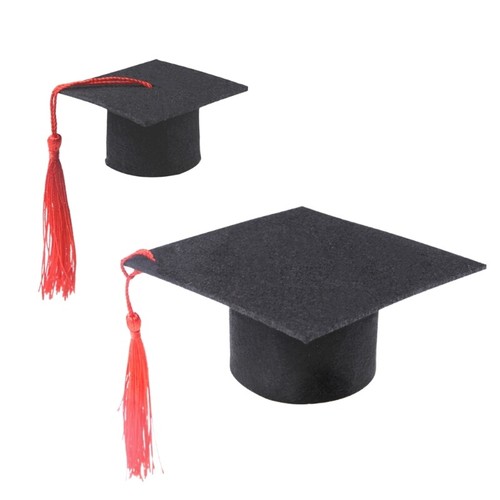 Guinea Pigs Graduation Hat HeadWear Costume Graduation Theme Cosplay | eBay