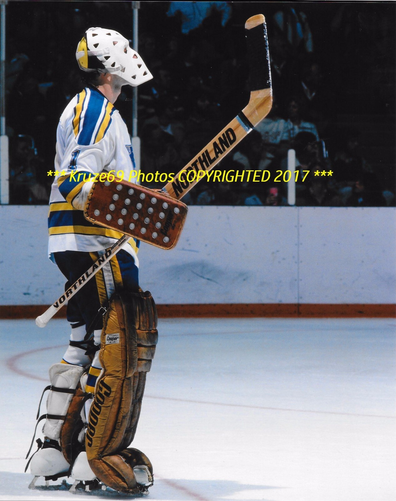 MIKE LIUT Ready For ACTION 8x10 Photo ST LOUIS BLUES Star GOALIE WoW | eBay