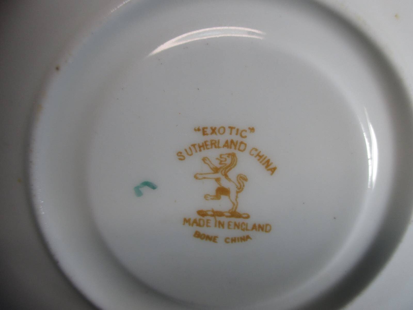 ENGLISH SUTHERLAND BONE CHINA CUP & SAUCER IN EXOTIC PATTERN | eBay