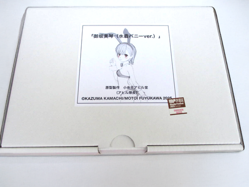 New Misaka Mikoto Swimsuit Bunny Garage Kit WF2025S Koganei Ahirudo ...