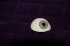 Medical antiques Antique Glass Eyes Real Glass Eyes Antique Eyes ...