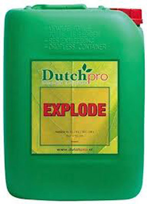 Dutch Pro Explode 10L Flowering Booster | eBay UK