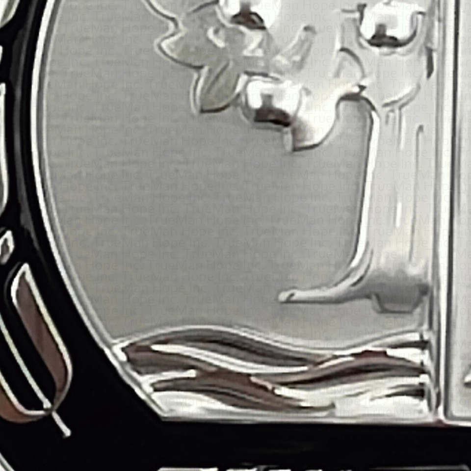 Genuine Mercedes-AMG Affalterbach 254 Engine Hood Emblem / Badge ...