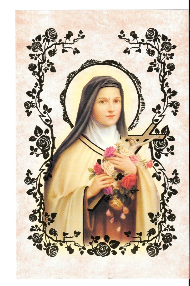 Facts About St Therese The Little Flower | Best Flower Site