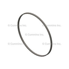 Cummins Ring Liner Seal 3054947 for sale online | eBay