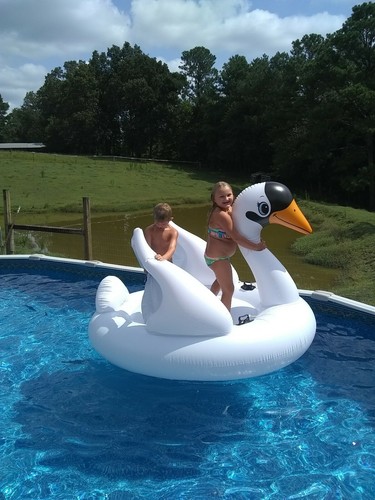 Intex Mega Swan Island White Inflatable Swimming Pool Float Ride on ...