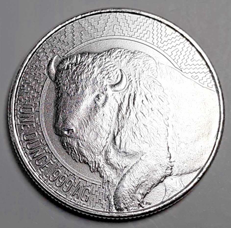 1 ounce Buffalo Warrior .999 Fine Silver Round by Buffalo Works Fast+Free Ship | eBay