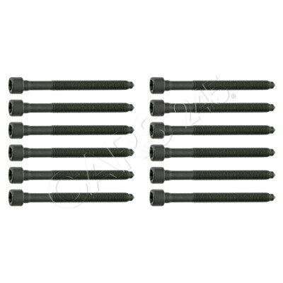 FEBI Cylinder Head Bolt Kit For VW New Beetle 06D103385D | eBay